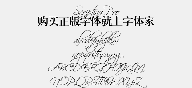 Scriptina Pro免费字体下载 - 英文字体免费下载尽在字体家