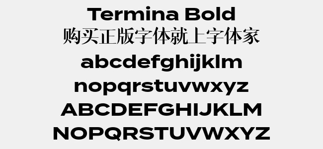 Termina Bold免费字体下载 - 英文字体免费下载尽在字体家
