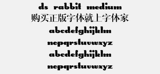 DS Rabbit Medium免费字体下载 - 英文字体免费下载尽在字体家