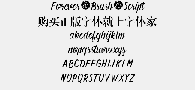 Forever-Brush-Script免费字体下载 - 英文字体免费下载尽在字体家
