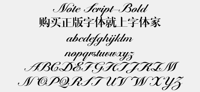 Note Script-Bold正版字体下载 - 正版英文字体下载尽在字体家
